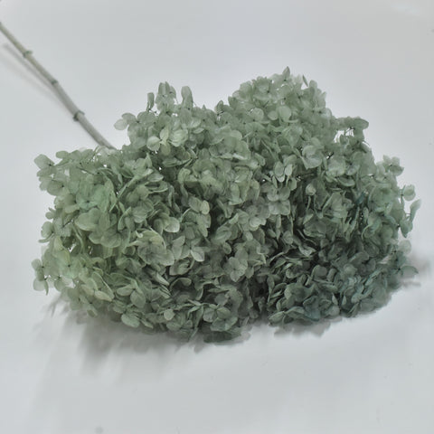 Preserved Hydrangeas | Preserved Flowers Dubai | Flower Station