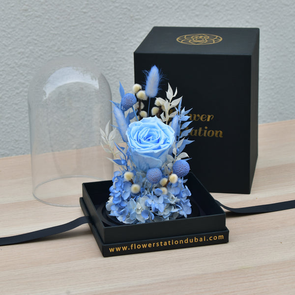 Coral Charm - Forever Flowers | Flower Station
