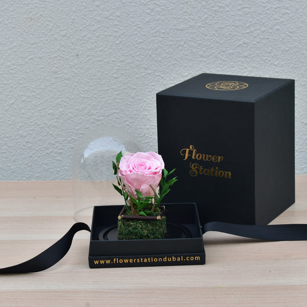 Pink Forever Rose | Pink Infinity Rose | Flower Station