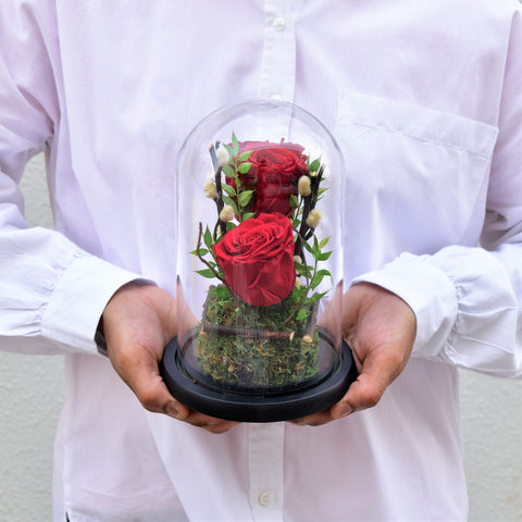 Forever Roses | Infinity Roses Dubai UAE | Flower Station