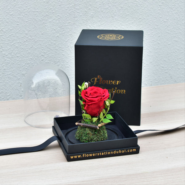 Red Forever Rose in Glass Dome | Infinite Rose Dubai | Flower Station